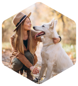 Schronisko Azyl – Schronisko Azyl